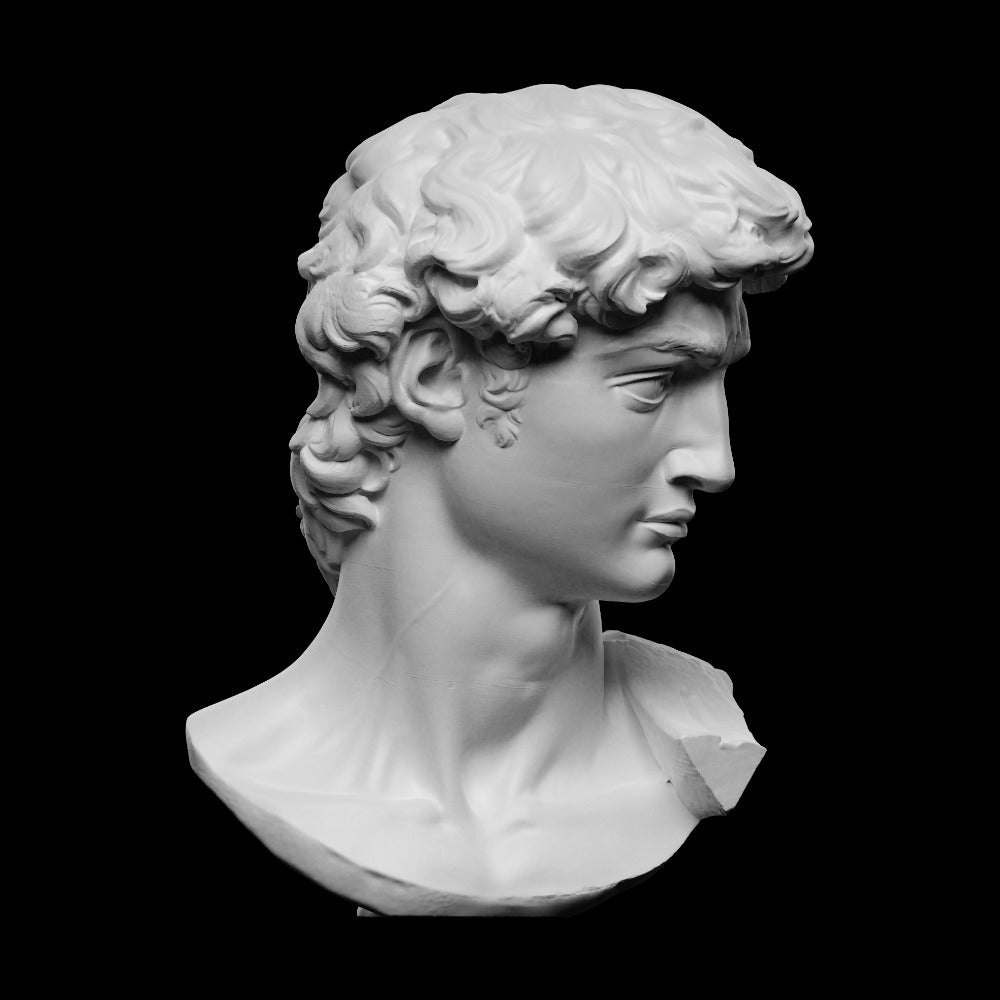 Head of David - Poster - Scan The World